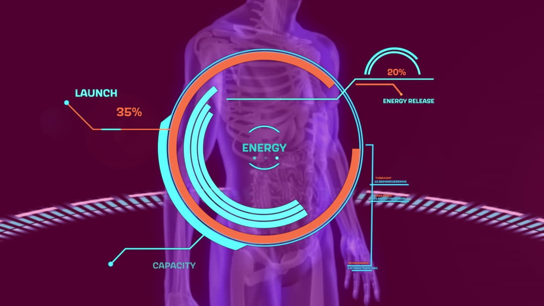 Animated energy levels overlay on human anatomy visualization - Free ...