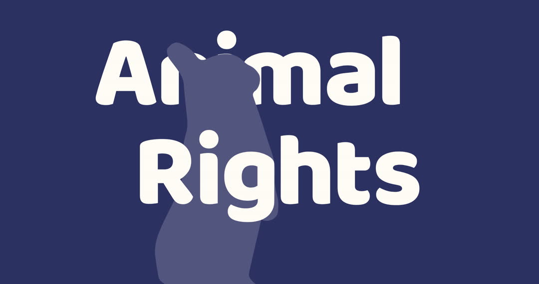 Animal Rights Concept with Rabbit Silhouette and Bold Text